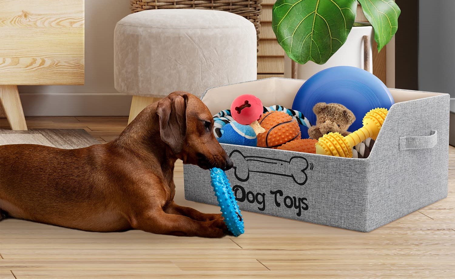 Innovative Pet Tech Trends of 2024: From Tracking Devices to Health ...